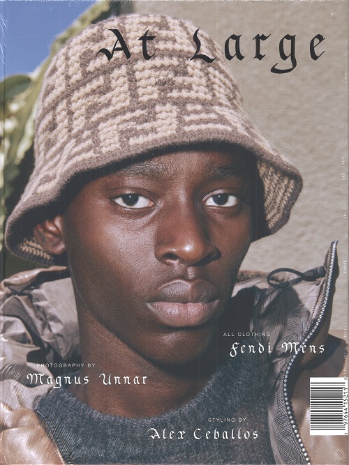 At Large - Ips Diffusion