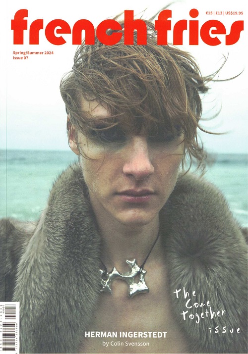 french fries - Ips Diffusion