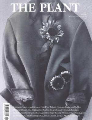 Odalisque - Ips Diffusion