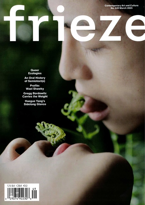 Frieze - Ips Diffusion